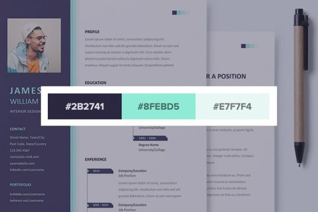 20 Stylish Resume Color Schemes for 2021